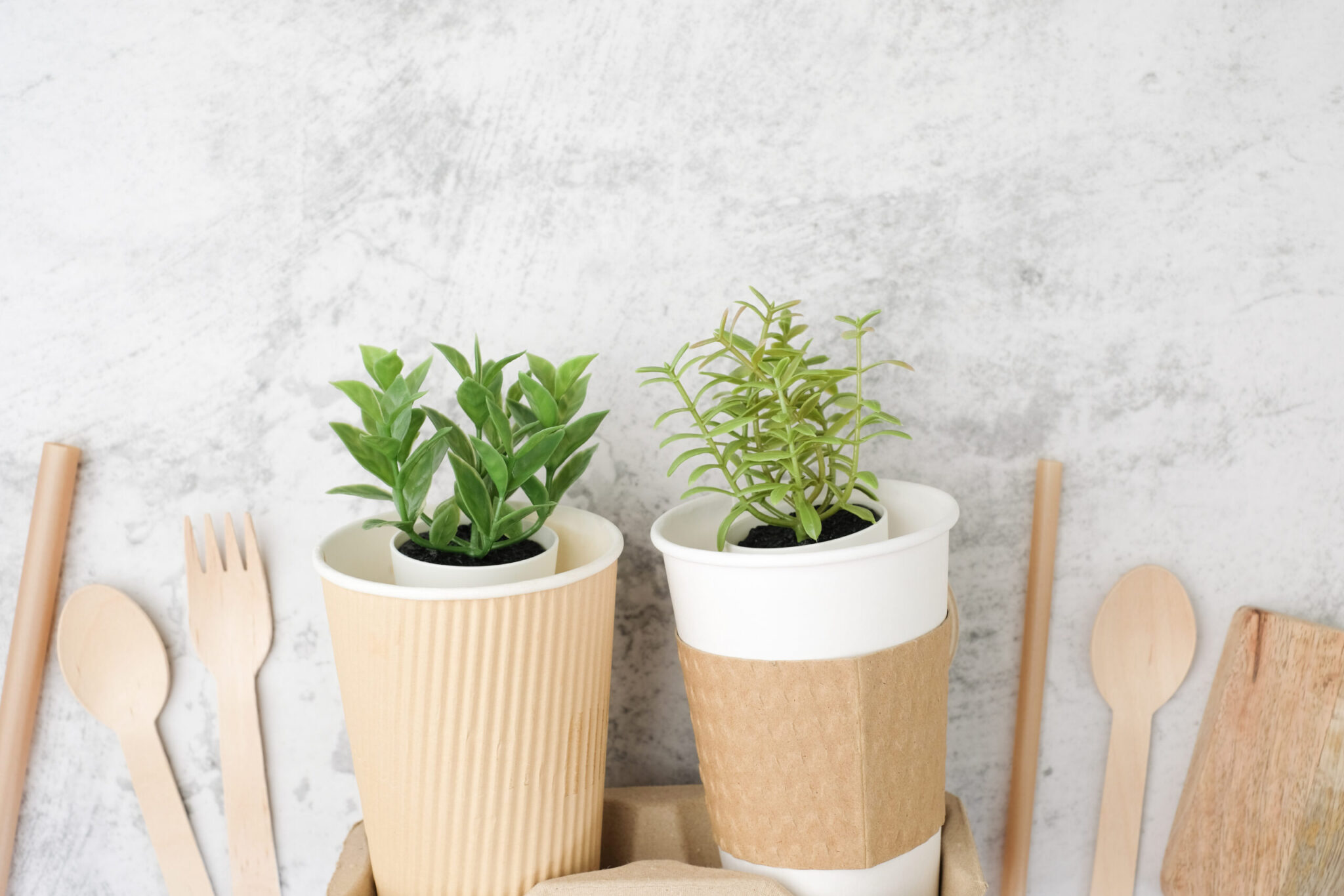 Setting the Standard for Sustainable Packaging - Force Protection